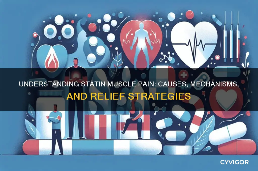 Understanding Statin Muscle Pain: Causes, Mechanisms, And Relief ...
