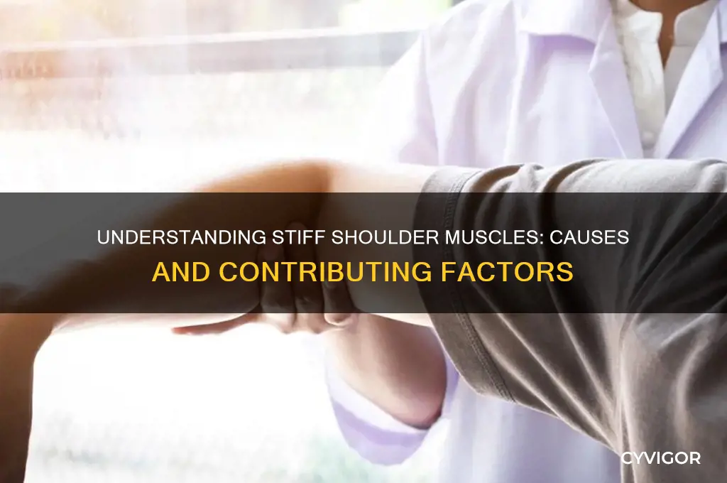 Understanding Stiff Shoulder Muscles: Causes And Contributing Factors ...