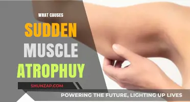 Sudden Severe Back Muscle Spasms: Causes And Triggers Explained | CyVigor