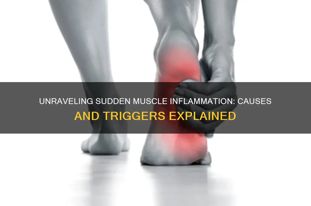 Unraveling Sudden Muscle Inflammation: Causes And Triggers Explained ...