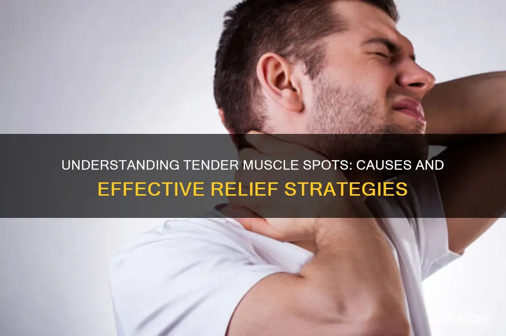 Understanding Tender Muscle Spots: Causes And Effective Relief ...