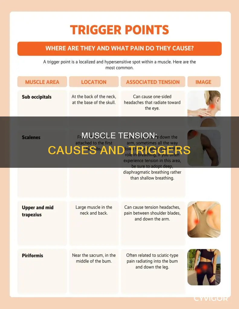 Muscle Tension: Causes And Triggers | CyVigor