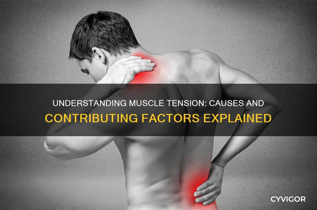 Understanding Muscle Tension: Causes And Contributing Factors Explained ...