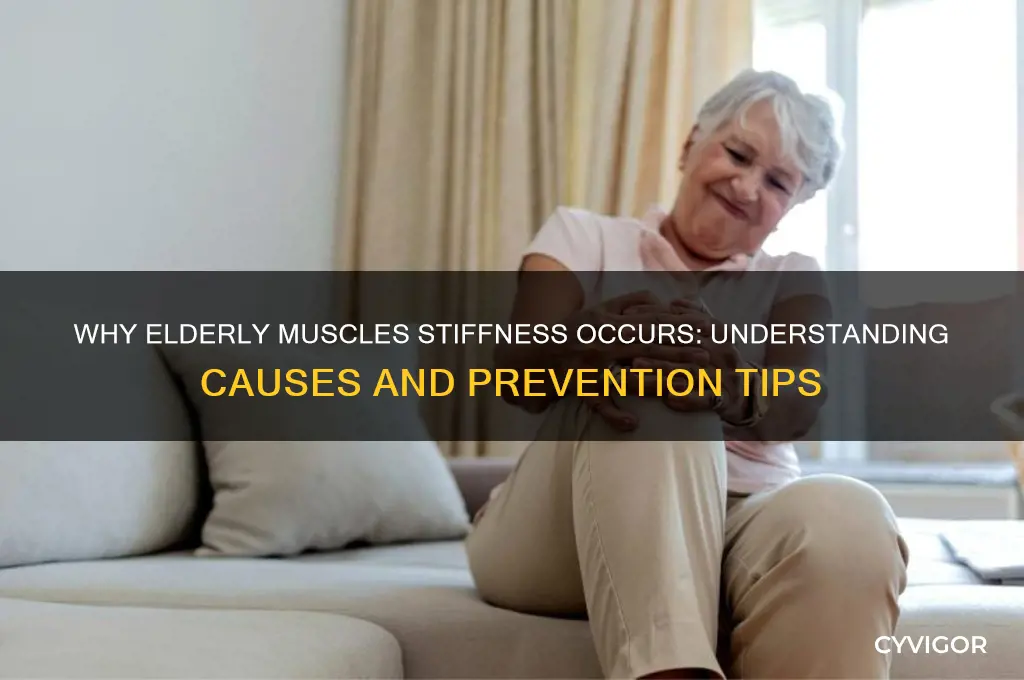 Why Elderly Muscles Stiffness Occurs: Understanding Causes And ...