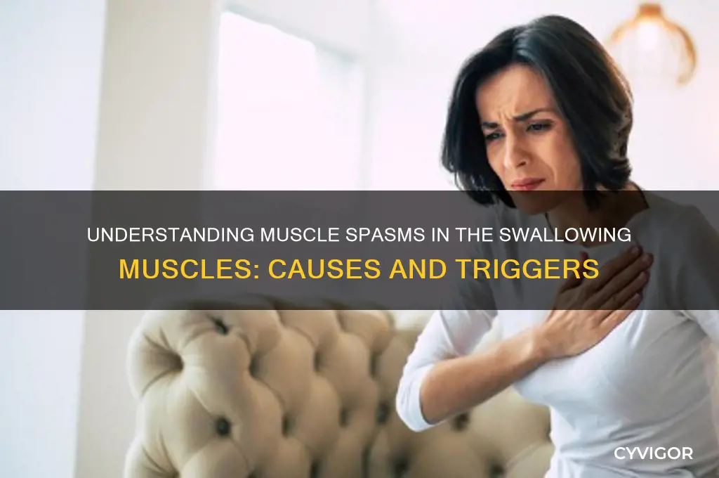 Understanding Muscle Spasms In The Swallowing Muscles: Causes And ...