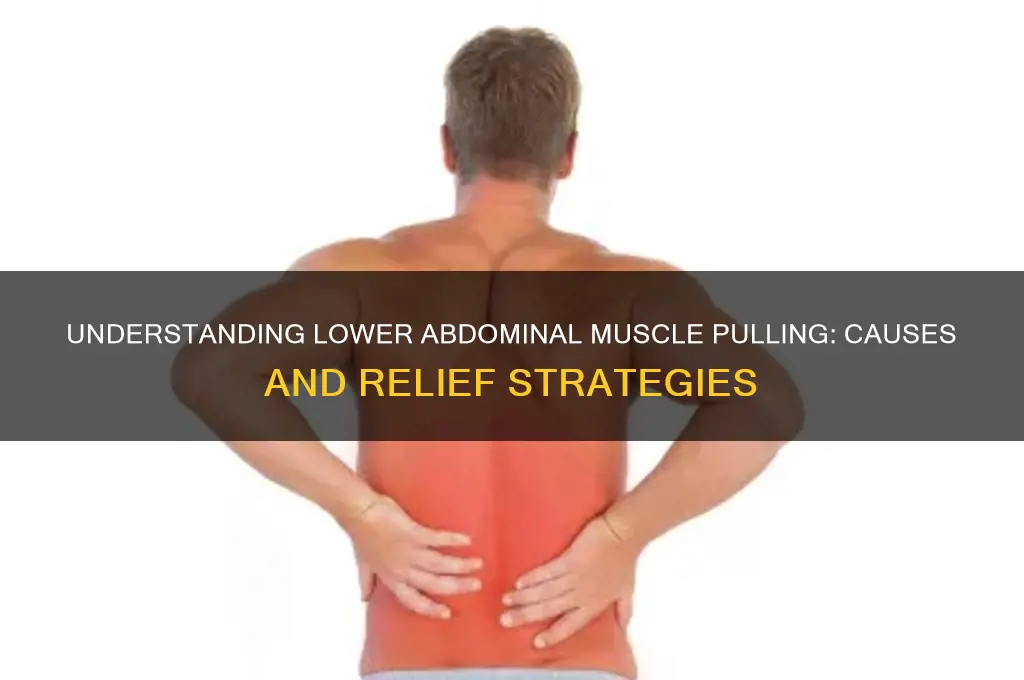 Understanding Lower Abdominal Muscle Pulling: Causes And Relief ...