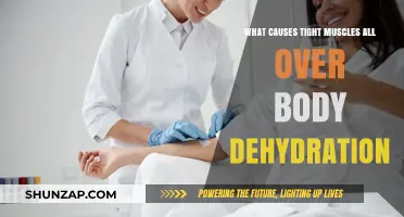 Understanding Tight Pec Muscles: Causes And Solutions For Relief | CyVigor