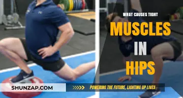 Understanding Tight Hip Flexors: Causes And Contributing Factors ...