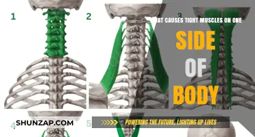 Understanding Tight Ql Muscles: Causes And Effective Relief Strategies ...