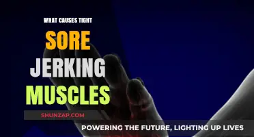 Understanding Tight Ql Muscles: Causes And Effective Relief Strategies ...