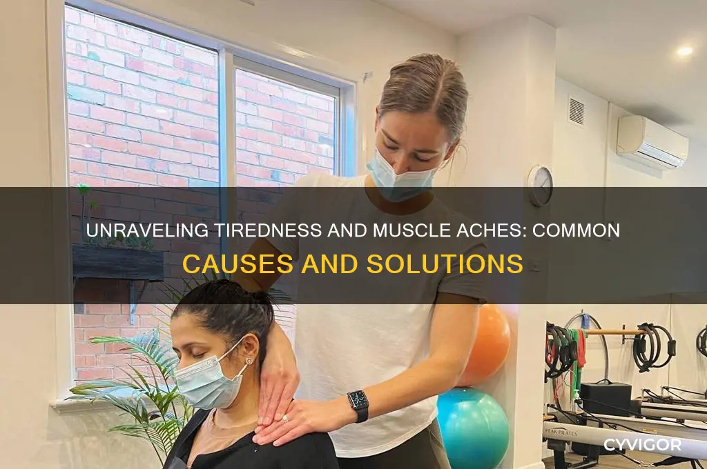 Unraveling Tiredness And Muscle Aches: Common Causes And Solutions ...