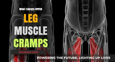 Understanding Violent Muscle Spasms: Causes, Triggers, And Treatment ...
