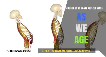 Understanding Upper Leg Muscle Cramps: Causes And Prevention Tips | CyVigor