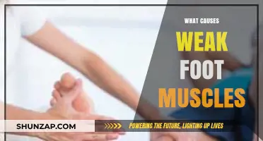 Understanding Weak Muscles And Tendons: Causes And Contributing Factors ...