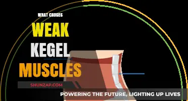 Understanding Weak Muscles And Tendons: Causes And Contributing Factors ...