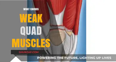 Understanding Weak Mouth Muscles: Causes And Potential Solutions ...