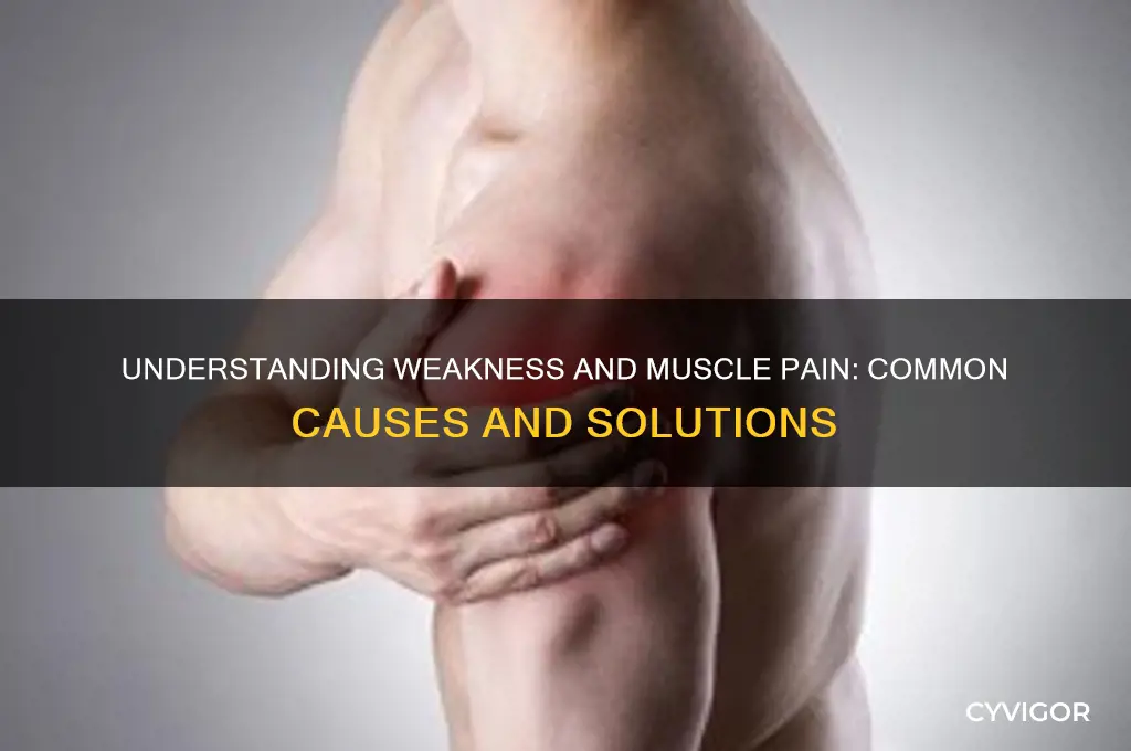 Understanding Weakness And Muscle Pain: Common Causes And Solutions ...