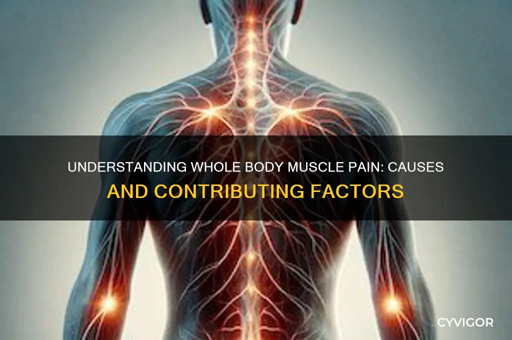 Understanding Whole Body Muscle Pain: Causes And Contributing Factors ...