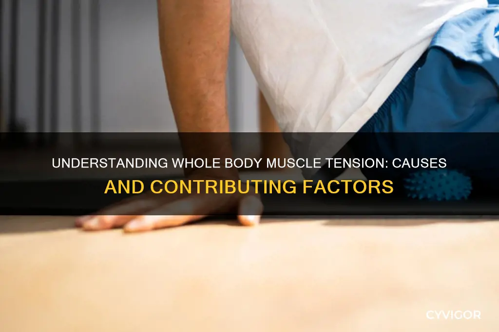 Understanding Whole Body Muscle Tension: Causes And Contributing ...