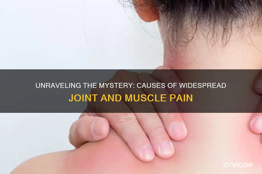 Unraveling The Mystery: Causes Of Widespread Joint And Muscle Pain ...