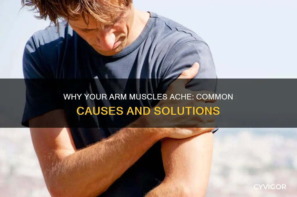 Why Your Arm Muscles Ache: Common Causes And Solutions | CyVigor