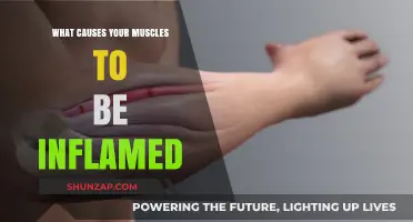 Elevated Muscle Enzymes: Causes And What They Reveal About Your Health ...