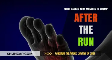 Why Muscles Lock Up: Causes And Prevention Of Sudden Stiffness | CyVigor