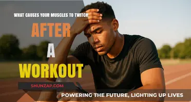 Why Muscles Lock Up: Causes And Prevention Of Sudden Stiffness | CyVigor