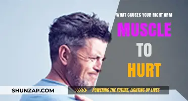 Why Muscles Lock Up: Causes And Prevention Of Sudden Stiffness | CyVigor
