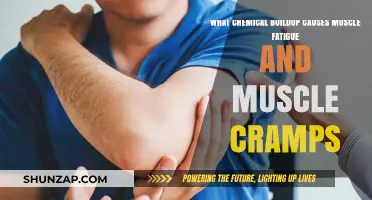 Why Your Right Arm Muscle Hurts: Common Causes And Remedies | CyVigor