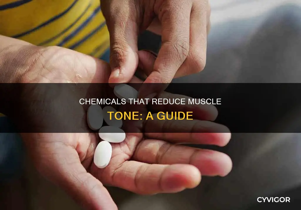 Chemicals That Reduce Muscle Tone: A Guide | CyVigor