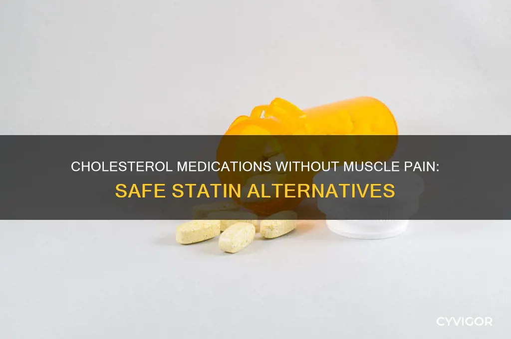 Cholesterol Medications Without Muscle Pain: Safe Statin Alternatives ...