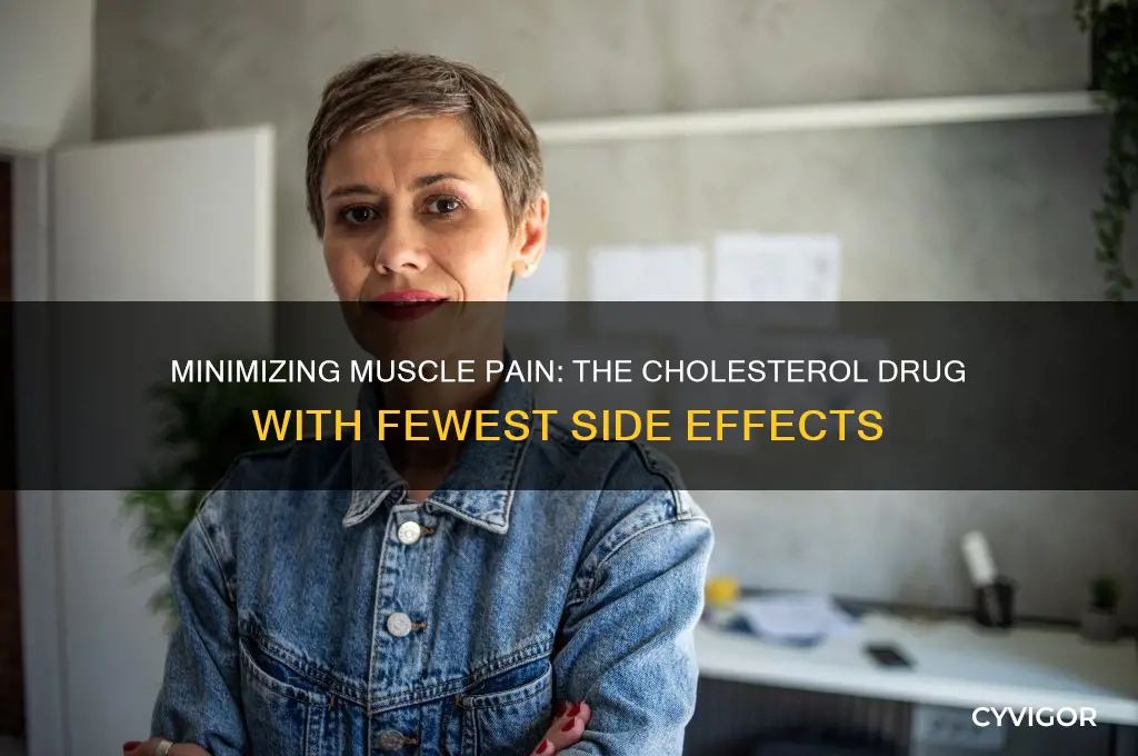 Minimizing Muscle Pain: The Cholesterol Drug With Fewest Side Effects ...