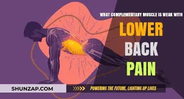 Understanding Muscle Pain: Key Blood Tests To Diagnose The Cause | CyVigor
