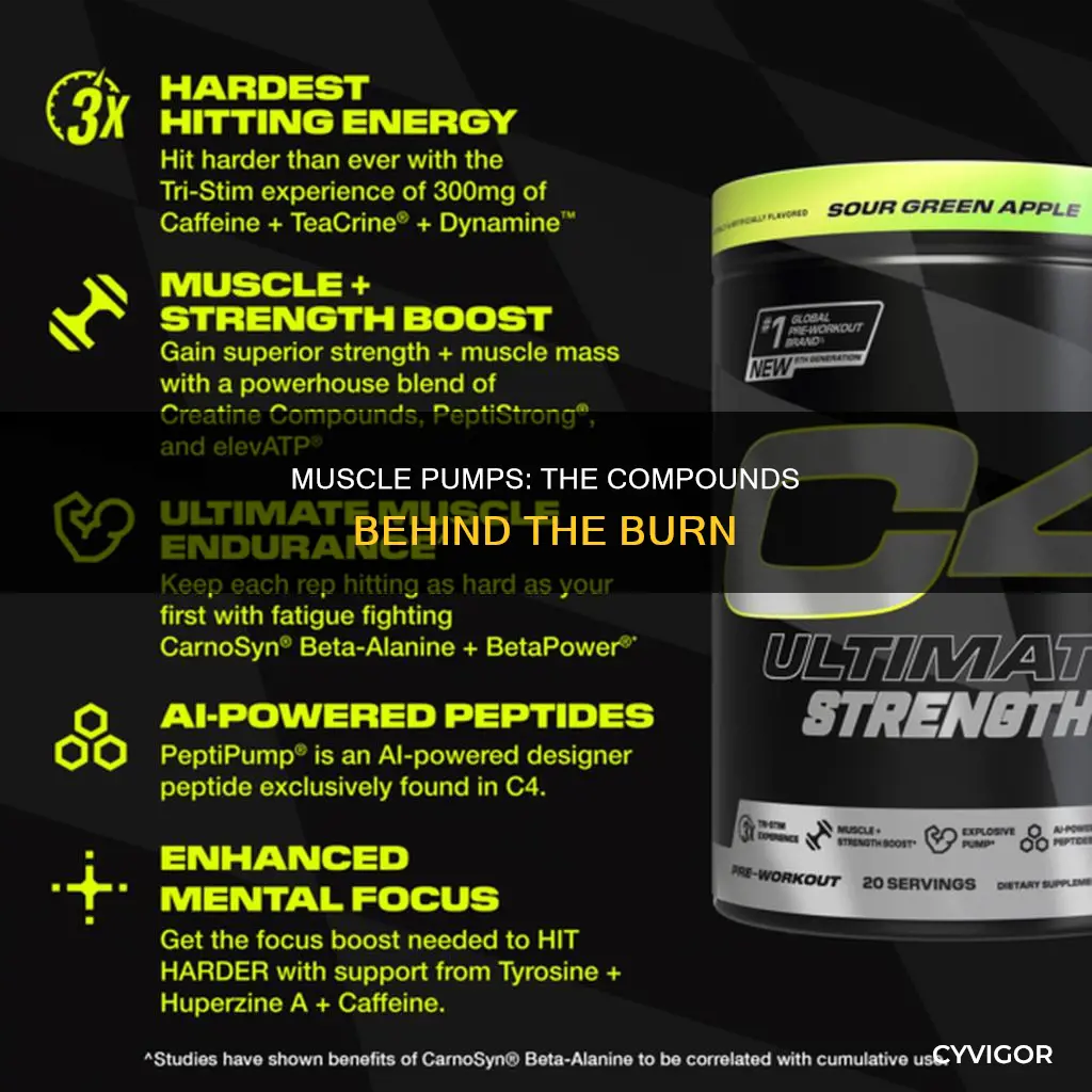 Muscle Pumps: The Compounds Behind The Burn | CyVigor