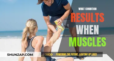 The Color Of Human Muscles: A Visual Guide | CyVigor