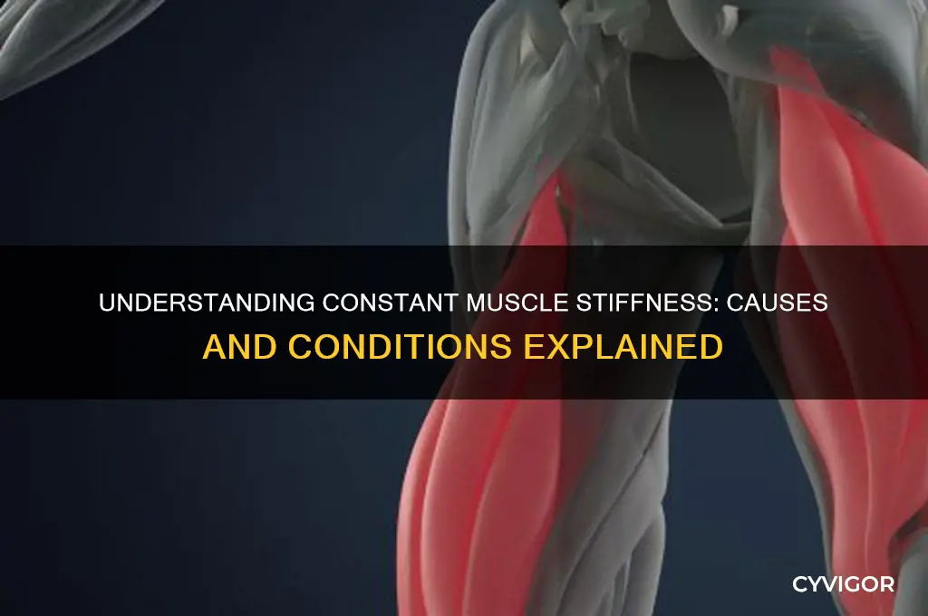 Understanding Constant Muscle Stiffness: Causes And Conditions ...