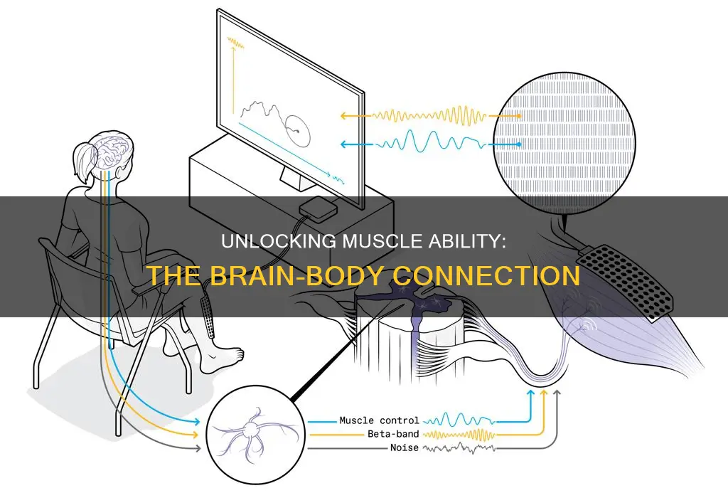 Unlocking Muscle Ability: The Brain-Body Connection | CyVigor