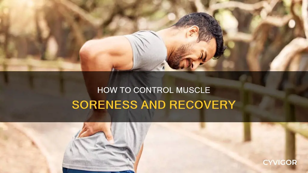 How To Control Muscle Soreness And Recovery | CyVigor