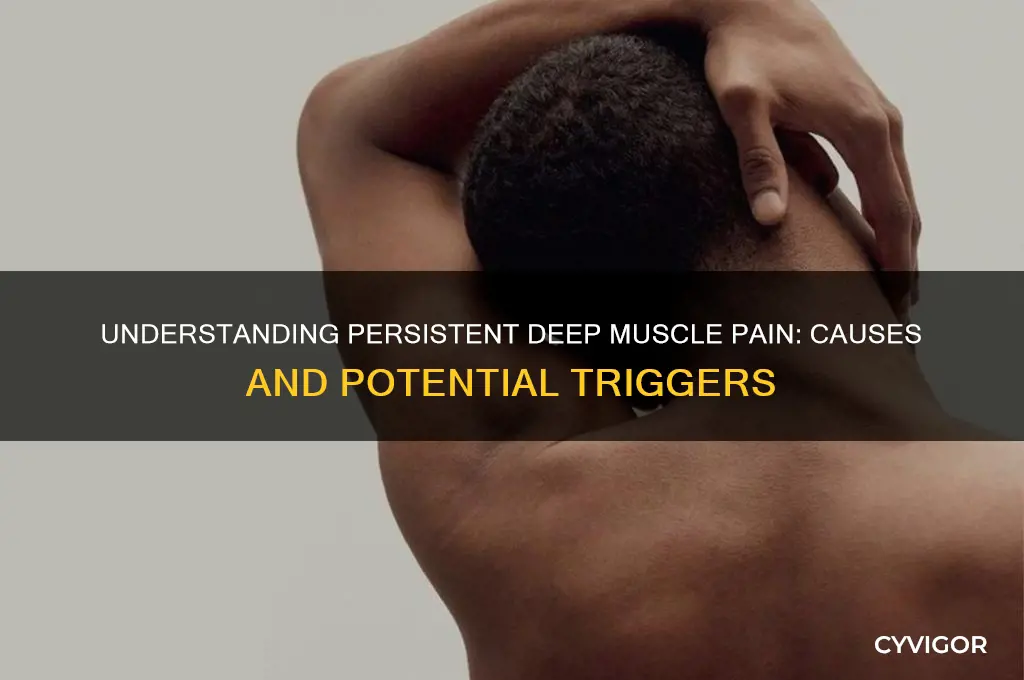 Understanding Persistent Deep Muscle Pain: Causes And Potential ...