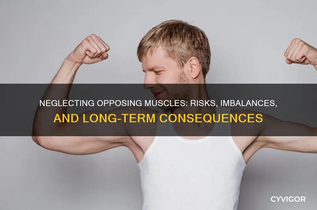 Neglecting Opposing Muscles: Risks, Imbalances, And Long-Term ...