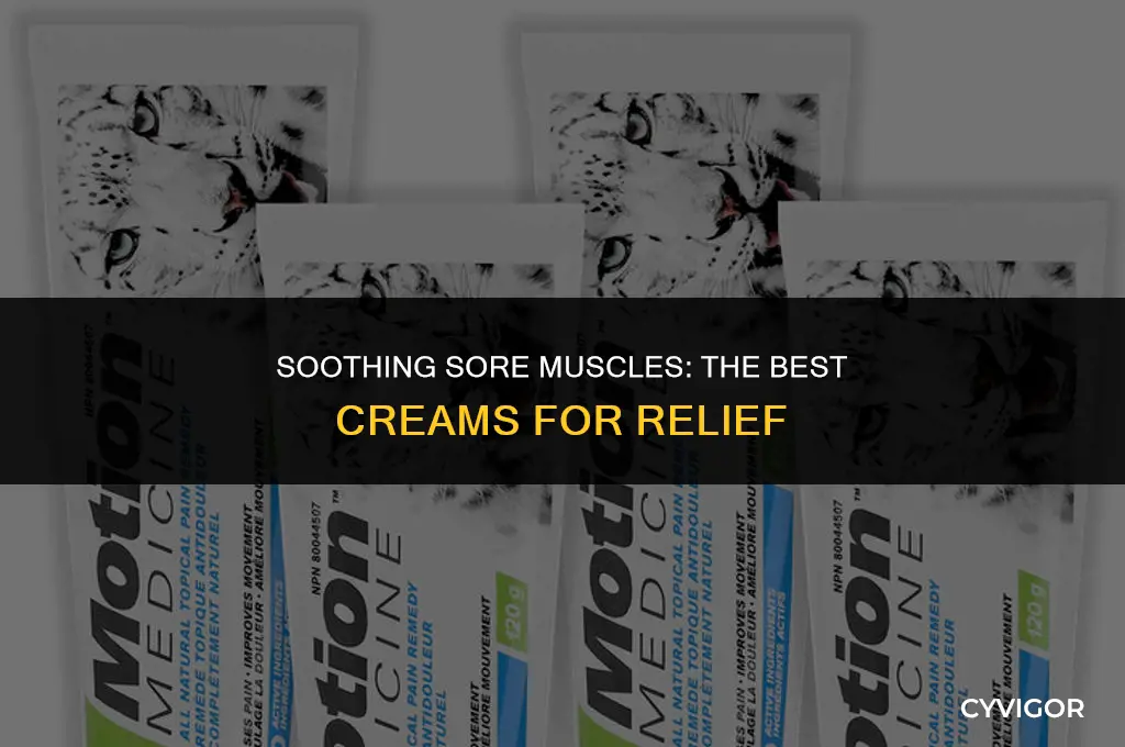 Soothing Sore Muscles: The Best Creams For Relief | CyVigor