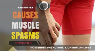 Understanding Upper Arm Muscle Pain: Common Causes And Remedies | CyVigor