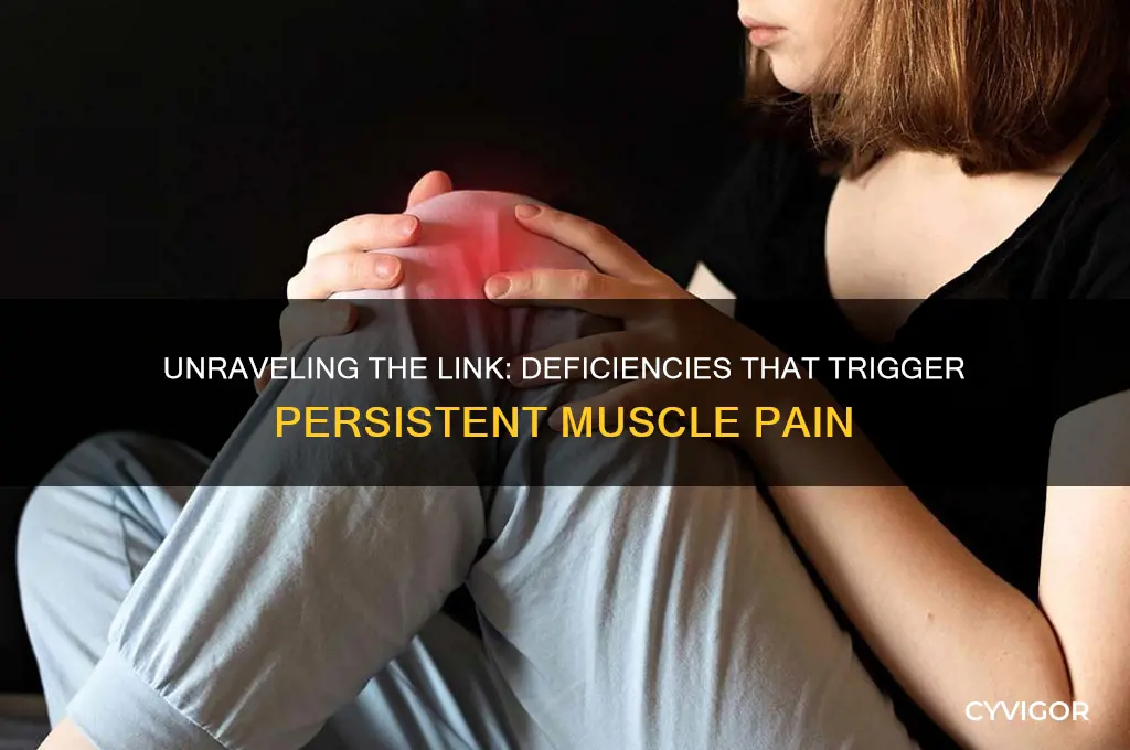 Unraveling The Link: Deficiencies That Trigger Persistent Muscle Pain ...