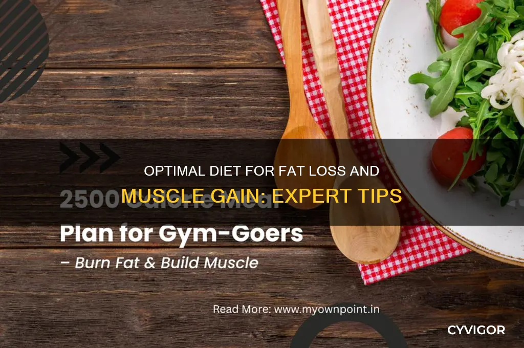 Optimal Diet For Fat Loss And Muscle Gain: Expert Tips | CyVigor