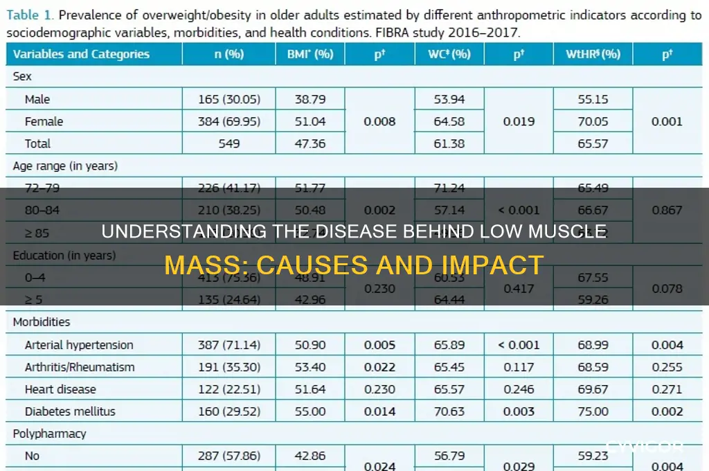 Understanding The Disease Behind Low Muscle Mass: Causes And Impact ...