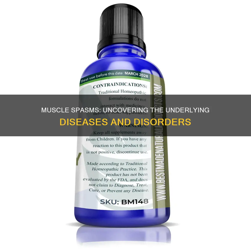 Muscle Spasms: Uncovering The Underlying Diseases And Disorders | CyVigor