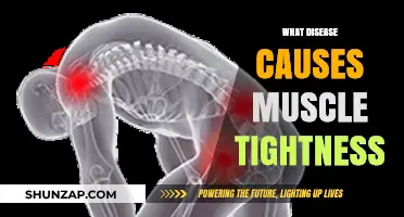 Muscle-Building Mystery: Uncovering The Disease Behind Enlarged Muscles ...