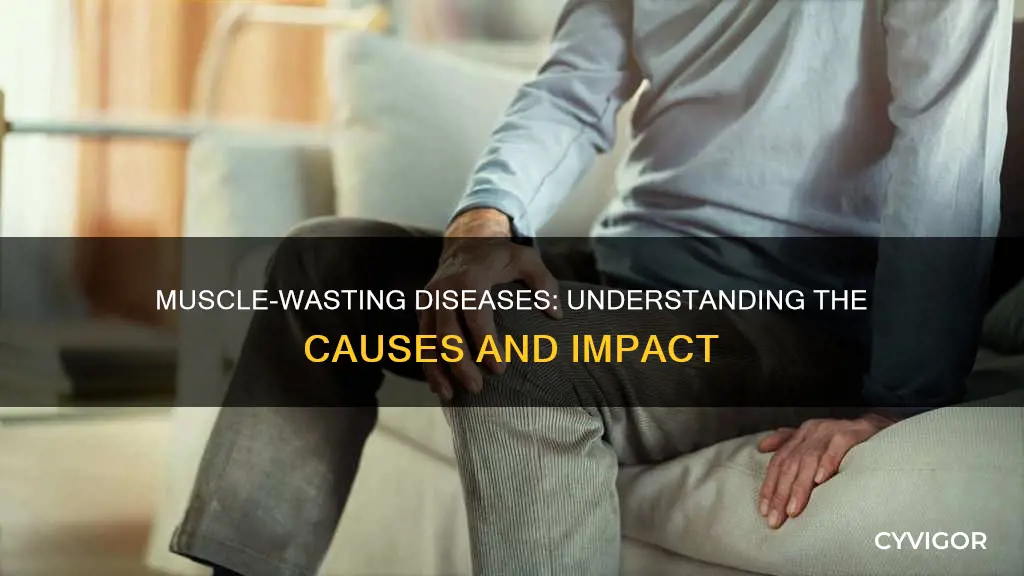Muscle-Wasting Diseases: Understanding The Causes And Impact | CyVigor