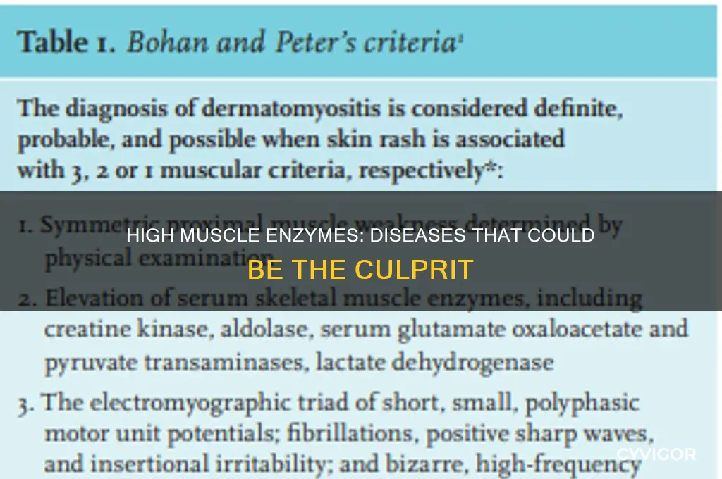 High Muscle Enzymes: Diseases That Could Be The Culprit | CyVigor